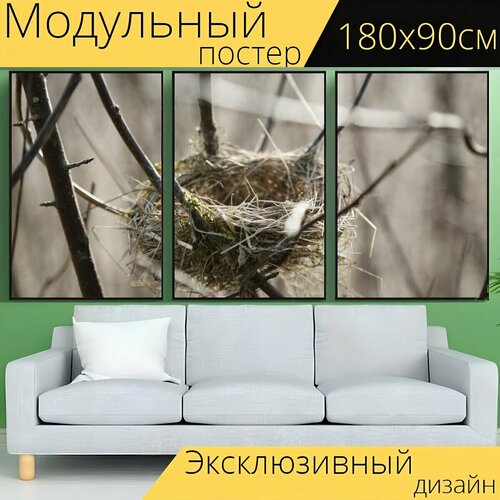 Модульный постер "Птичье гнездо, ветвь, природа" 180 x 90 см. для интерьера