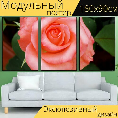 Модульный постер "Роза, розовая роза, любовь" 180 x 90 см. для интерьера