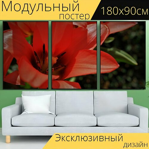 Модульный постер "Тюльпаны, тюльпан, красный" 180 x 90 см. для интерьера
