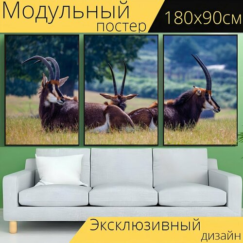 Модульный постер "Соболиная антилопа, олень, антилопа" 180 x 90 см. для интерьера