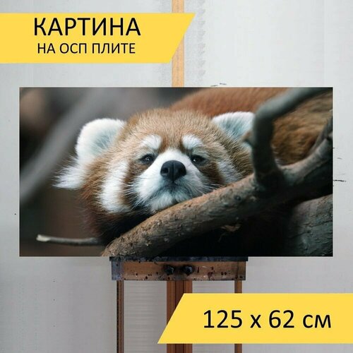 Картина на ОСП 125х62 см. "Красная панда, панда, животное" горизонтальная, для интерьера, с креплениями