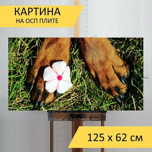 Картина на ОСП 125х62 см. "Лапы, цветок, собака" горизонтальная, для интерьера, с креплениями