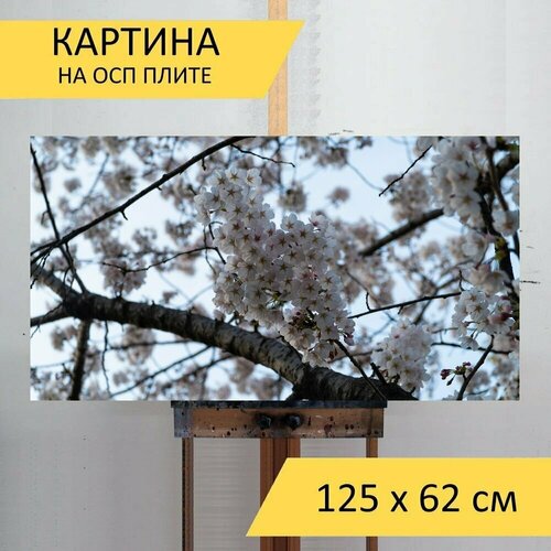 Картина на ОСП 125х62 см. "Цветение вишни, дерево, небо" горизонтальная, для интерьера, с креплениями