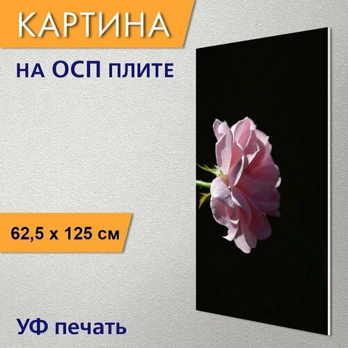 Вертикальная картина на ОСП "Розы, прекрасный, день" 62x125 см. для интерьериа