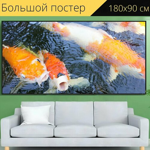 Большой постер "Рыбы, аквариум, гарп рыба" 180 x 90 см. для интерьера