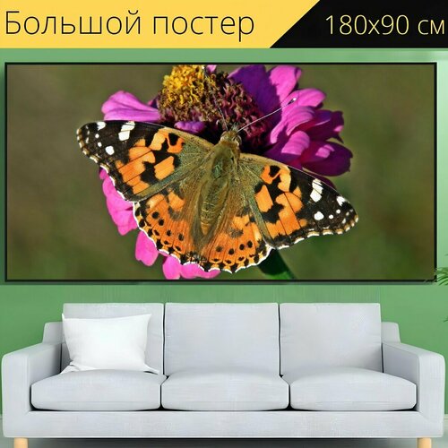 Большой постер "Бабочки дневные, природа, насекомое" 180 x 90 см. для интерьера