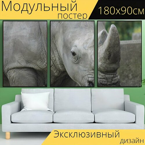 Модульный постер "Носорог, зоопарк, животное" 180 x 90 см. для интерьера