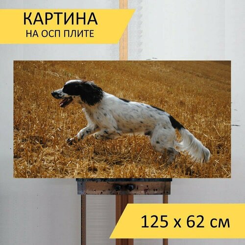 Картина на ОСП 125х62 см. "Охота, собака, спаниель" горизонтальная, для интерьера, с креплениями