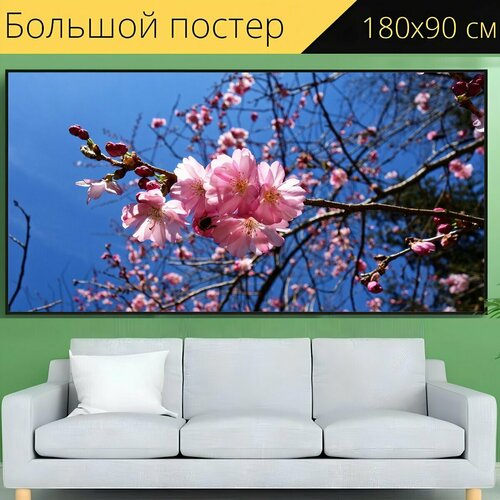 Большой постер "Вишни в цвету, цветок, вишневое дерево" 180 x 90 см. для интерьера