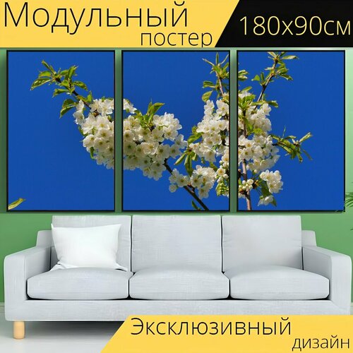 Модульный постер "Вишня, цветы, дерево" 180 x 90 см. для интерьера
