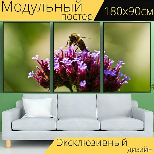 Модульный постер "Насекомое, пчела, природа" 180 x 90 см. для интерьера