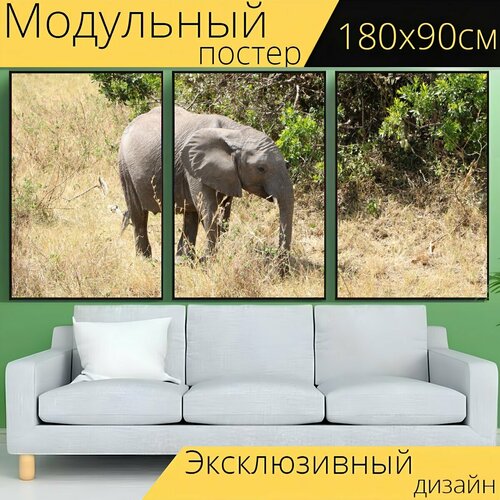 Модульный постер "Слон, слоненок, животное" 180 x 90 см. для интерьера