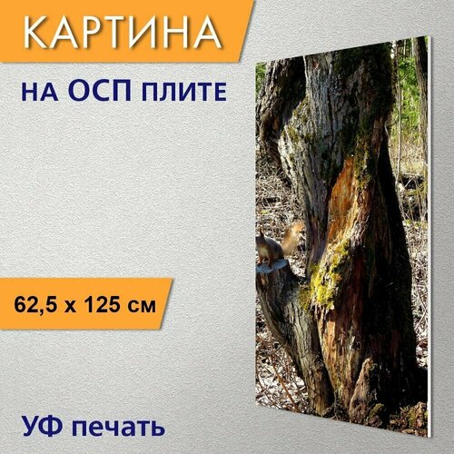 Вертикальная картина на ОСП "Белка, весна, древесина" 62x125 см. для интерьериа