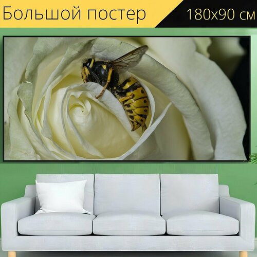 Большой постер "Роза, белый, пчела" 180 x 90 см. для интерьера