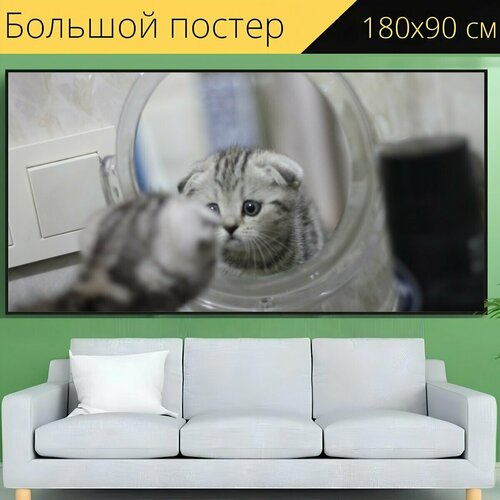 Большой постер "Котёнок смотрит в зеркало, отражение котёнка, впервые видит себя" 180 x 90 см. для интерьера