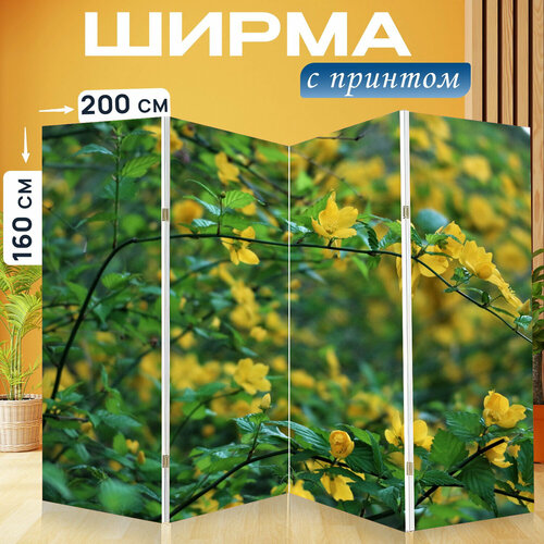 Ширма перегородка с принтом "Жёлтый, весна, цветы" на холсте - 200x160 см. для зонирования, раскладная