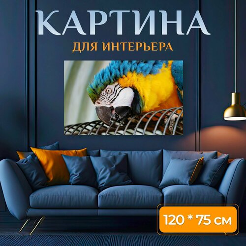 Картина на холсте "Эра, попугай, жёлтый ара" на подрамнике 120х75 см. для интерьера