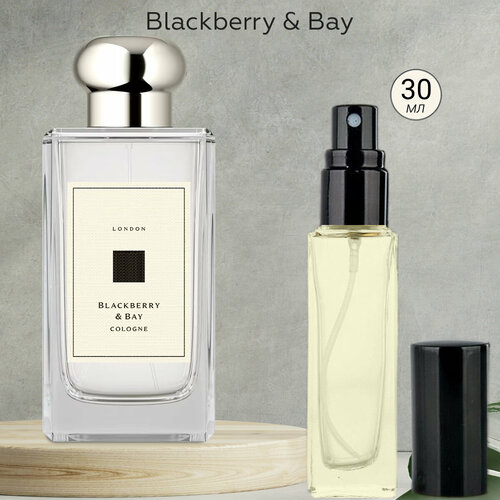 Gratus Parfum Blackberry Bay духи женские масляные 30 мл (спрей) + подарок
