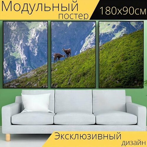 Модульный постер "Татры, серна, горы" 180 x 90 см. для интерьера