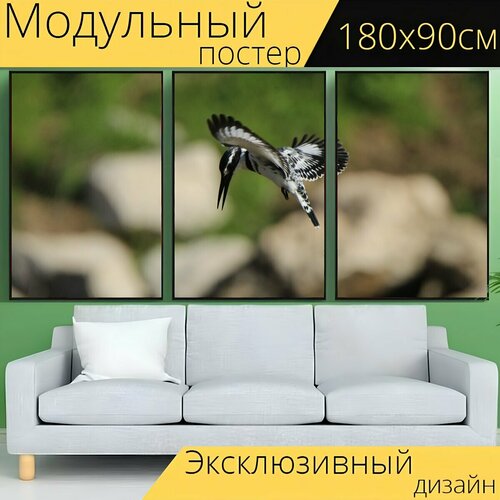 Модульный постер "Зимородок, летающий, птица" 180 x 90 см. для интерьера