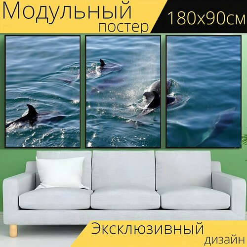 Модульный постер "Дельфины, плавать, нырять" 180 x 90 см. для интерьера