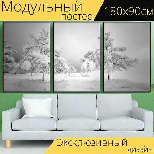 Модульный постер "Зима, снег, белый" 180 x 90 см. для интерьера