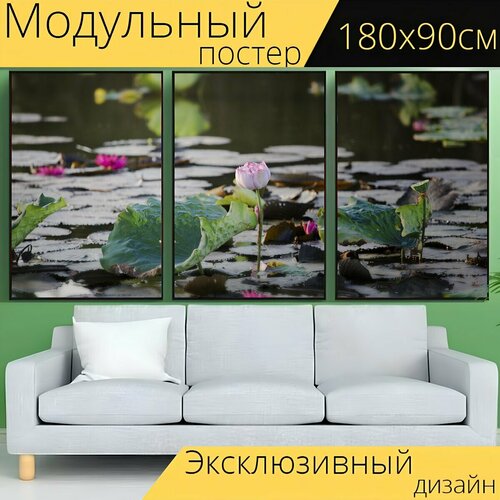 Модульный постер "Лотос, водные растения, водяная лилия" 180 x 90 см. для интерьера