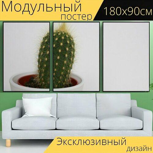 Модульный постер "Кактус, домашнее растение, зеленый" 180 x 90 см. для интерьера