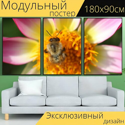 Модульный постер "Пчела, насекомое, природа" 180 x 90 см. для интерьера