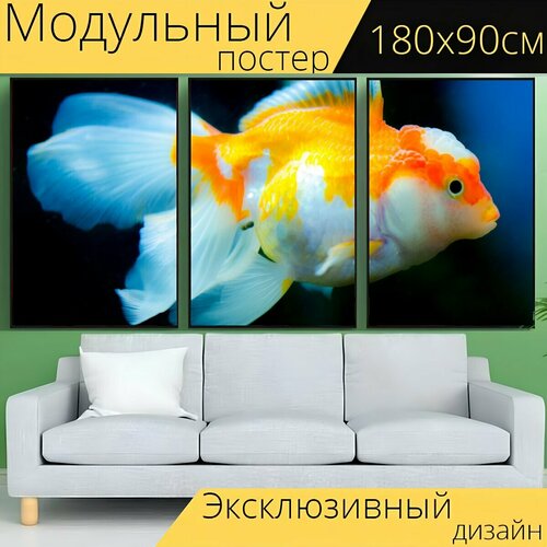 Модульный постер "Подводный, аквариум, рыбы" 180 x 90 см. для интерьера