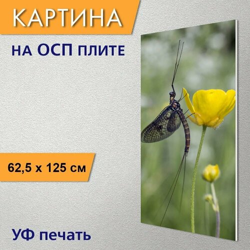 Вертикальная картина на ОСП "Поденок, макрос, насекомое" 62x125 см. для интерьериа