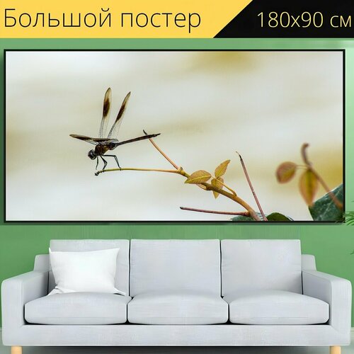 Большой постер "Стрекоза, природа, насекомое" 180 x 90 см. для интерьера