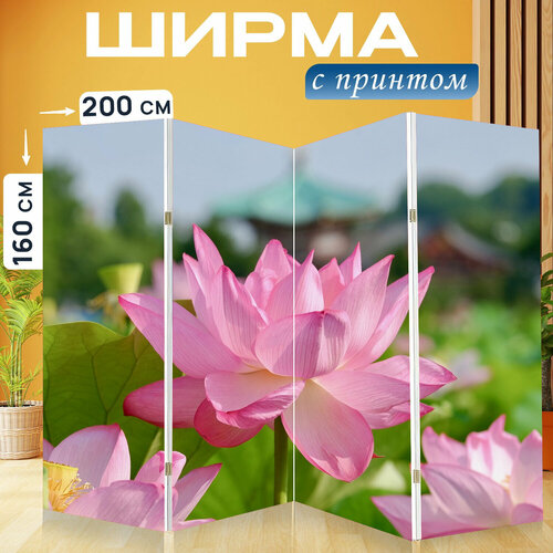 Ширма перегородка с принтом "Лотос, цветок, храм" на холсте - 200x160 см. для зонирования, раскладная