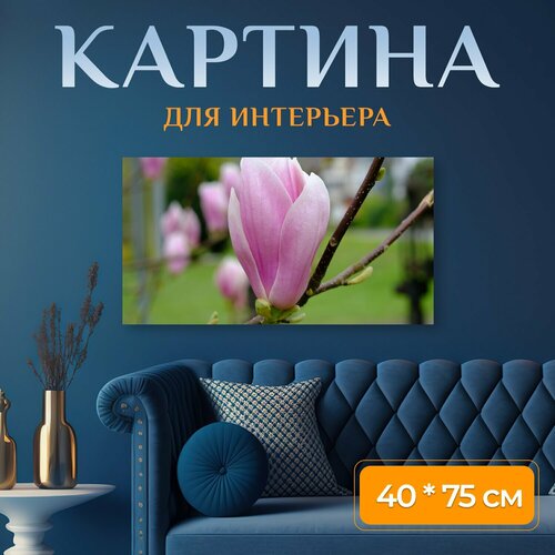 Картина на холсте "Магнолия, цвести, весна" на подрамнике 75х40 см. для интерьера