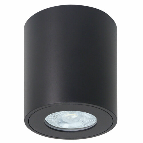 Точечный накладной светильник Arte Lamp TINO A1469PL-1BK / GU10 / 1х35Вт / IP44 / чёрный