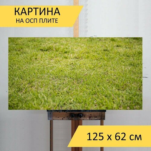 Картина на ОСП 125х62 см. "Лужайка, трава, поле" горизонтальная, для интерьера, с креплениями