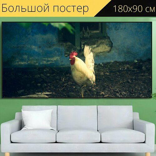 Большой постер "Петух, ферма, курица" 180 x 90 см. для интерьера