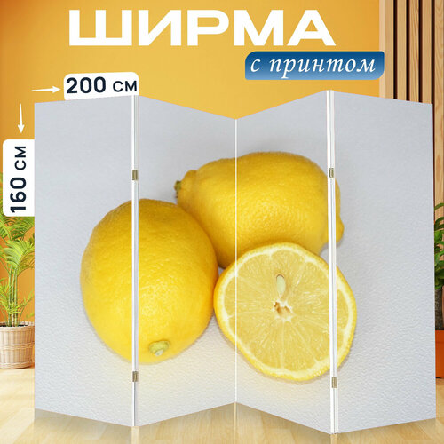 Ширма перегородка с принтом "Лимон, фрукты, витамины" на холсте - 200x160 см. для зонирования, раскладная