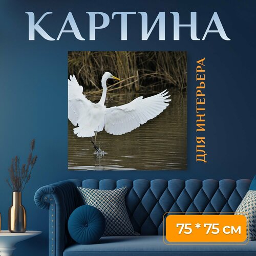 Картина на холсте "Большая цапля, цапля, водоплавающая птица" на подрамнике 75х75 см. для интерьера