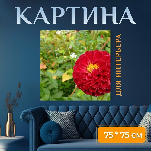 Картина на холсте "Цветок, красный, цвести" на подрамнике 75х75 см. для интерьера