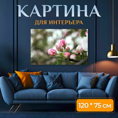 Картина на холсте "Яблоневый цвет, цвести, цветущий" на подрамнике 120х75 см. для интерьера