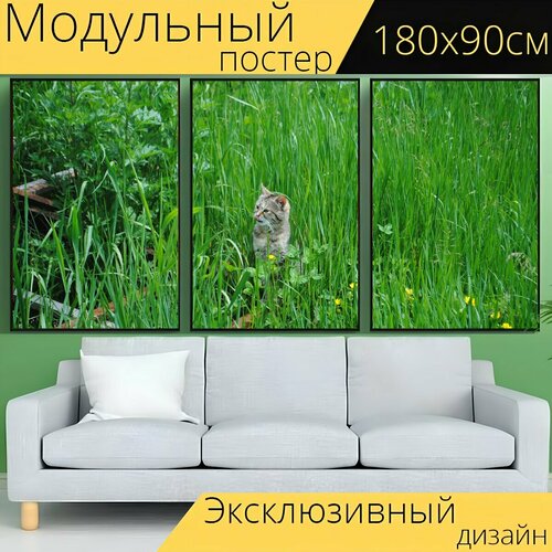 Модульный постер "Кот, природа, трава" 180 x 90 см. для интерьера
