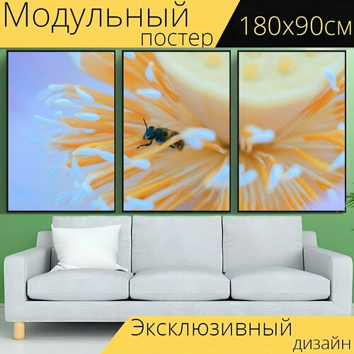 Модульный постер "Лотос, цветок, пчела" 180 x 90 см. для интерьера