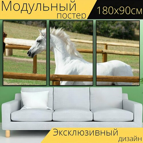 Модульный постер "Ферма, лошадь, животное" 180 x 90 см. для интерьера