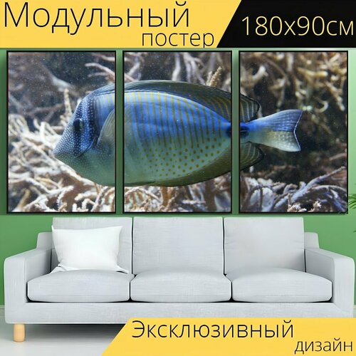 Модульный постер "Рыбы, аквариум, водная жизнь" 180 x 90 см. для интерьера