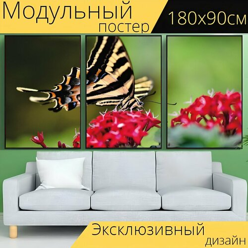 Модульный постер "Ласточкин хвост, бабочка, цветок" 180 x 90 см. для интерьера