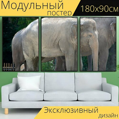 Модульный постер "Слон, животное, большой" 180 x 90 см. для интерьера