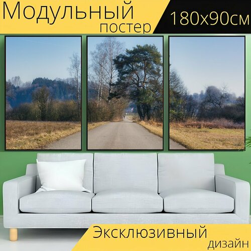 Модульный постер "Падение, дорожка, деревья" 180 x 90 см. для интерьера