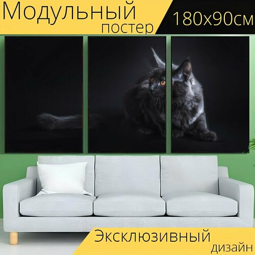 Модульный постер "Кот, чернить, " 180 x 90 см. для интерьера