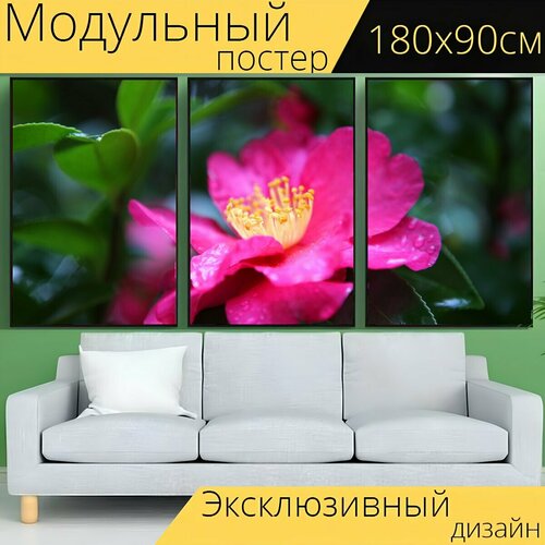 Модульный постер "Цветок, завод, цветочный садик" 180 x 90 см. для интерьера